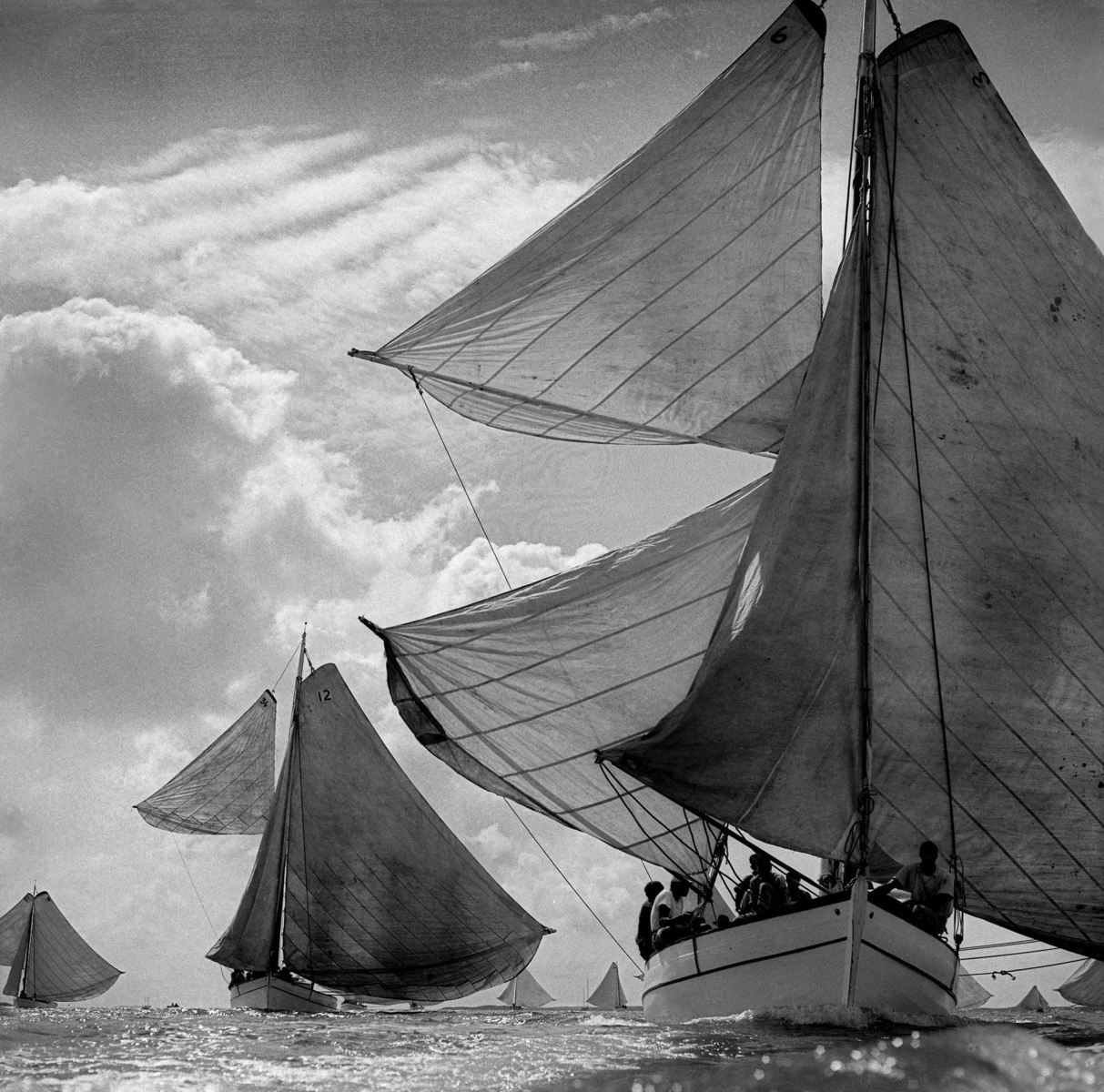 Spinaker Run II | CAB Gallery and Studio